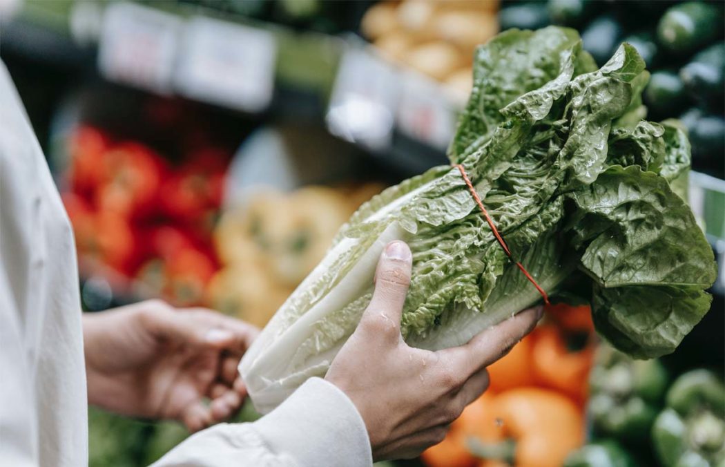 Lettuce Information | Learn About the Different Types of Lettuce
