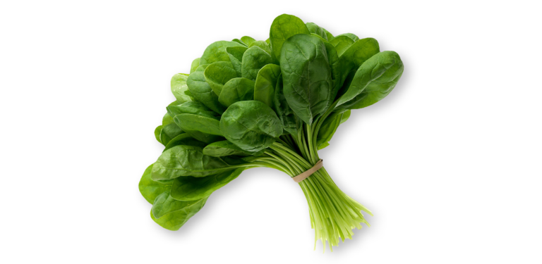 Spinach FAQ - LettuceInfo.org