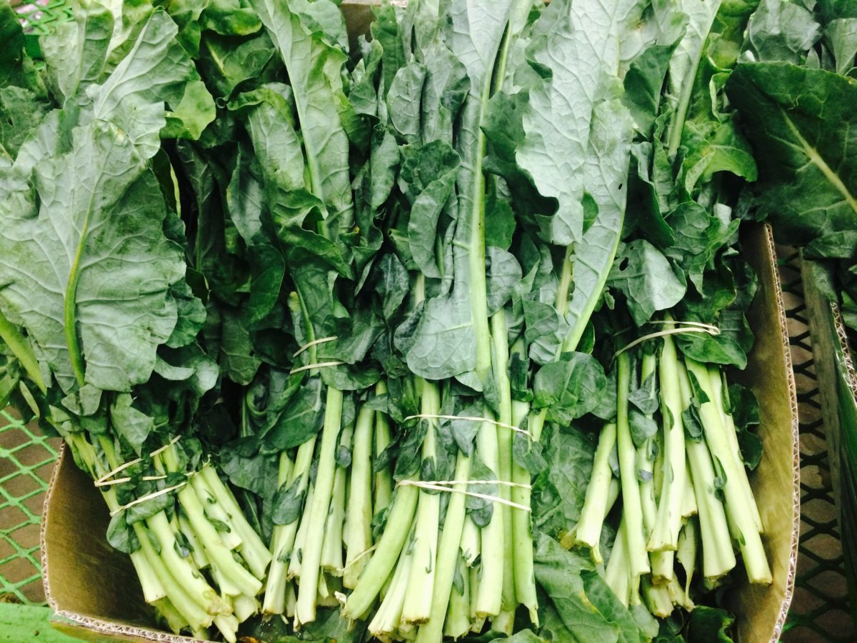 Chard FAQ - LettuceInfo.org