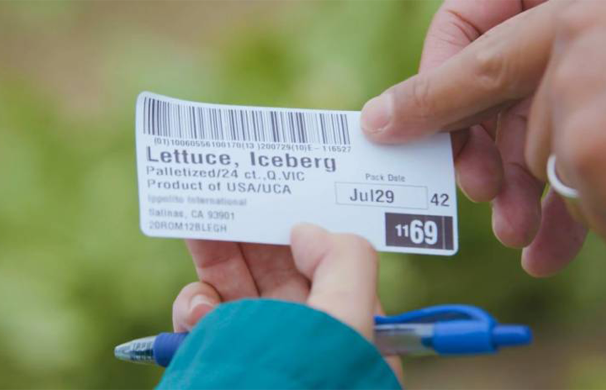 Lettuce Safety - LettuceInfo.org